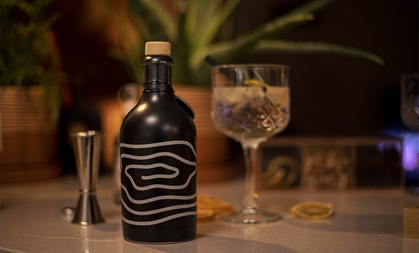 Džin (gin) vrste: Naša preporuka - Dzin.rs